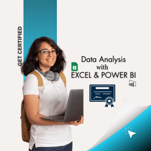 Data Analysis with Excel and Power BI - SkillSchool