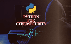 Learning Python for Cybersecurity: Key Scripting Skills for Security Analysts - SkillSchool